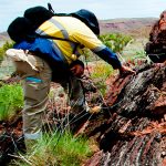 Regular Member - MMSA